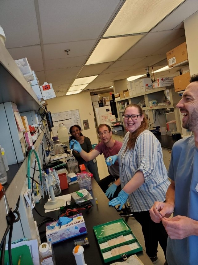 Department of Medicine Research Laboratories